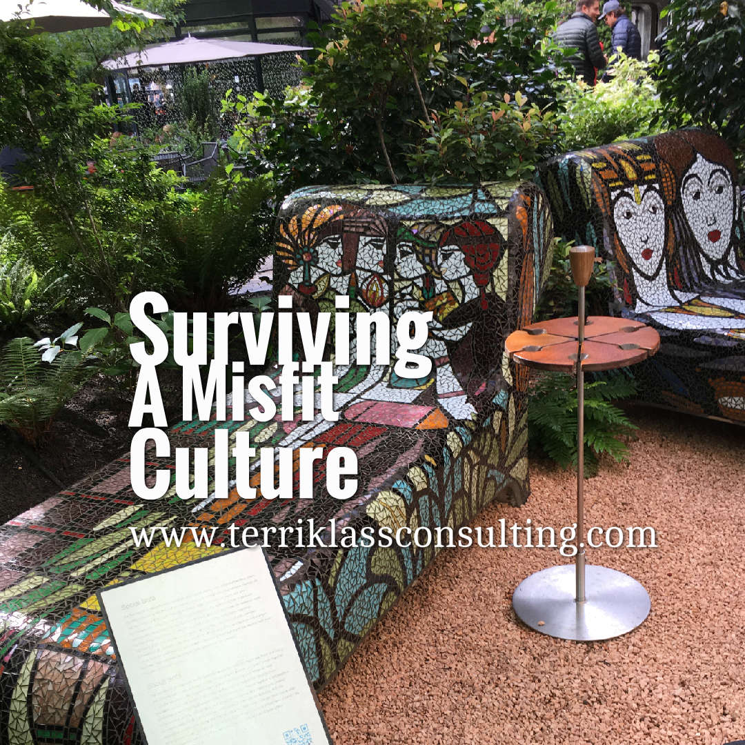Five Ways Leaders Survive A Culture Misfit | Terri Klass Consulting