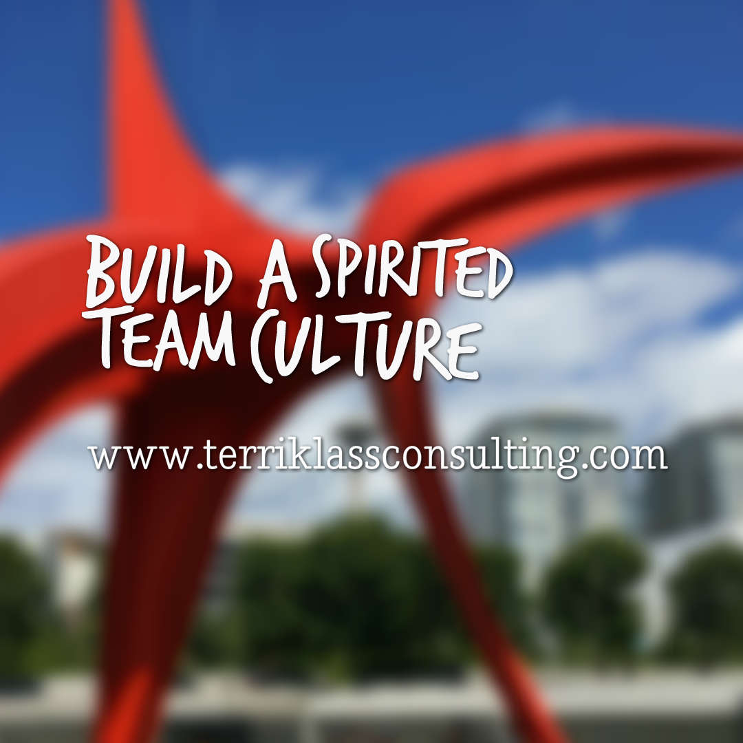 Six Paths To A Spirited Team Culture | Terri Klass Consulting