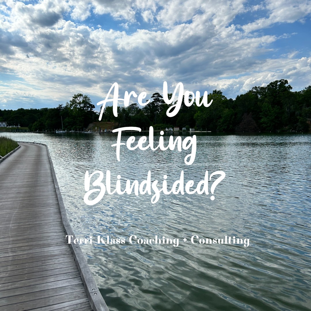 Feeling Blindsided? Try These Six Leadership Shifts | Terri Klass ...
