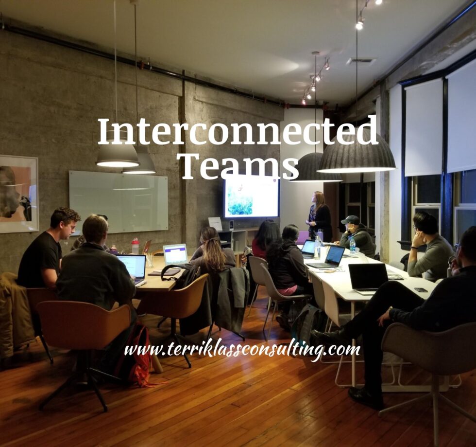 Six Leadership Strategies To Build A Highly Connected Team | Terri ...