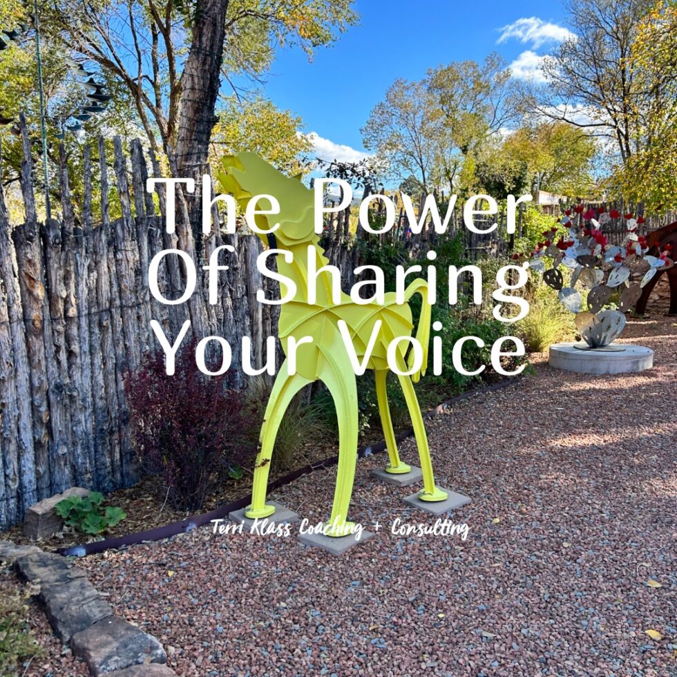 Bold Leadership Starts With Your Voice | Terri Klass Consulting