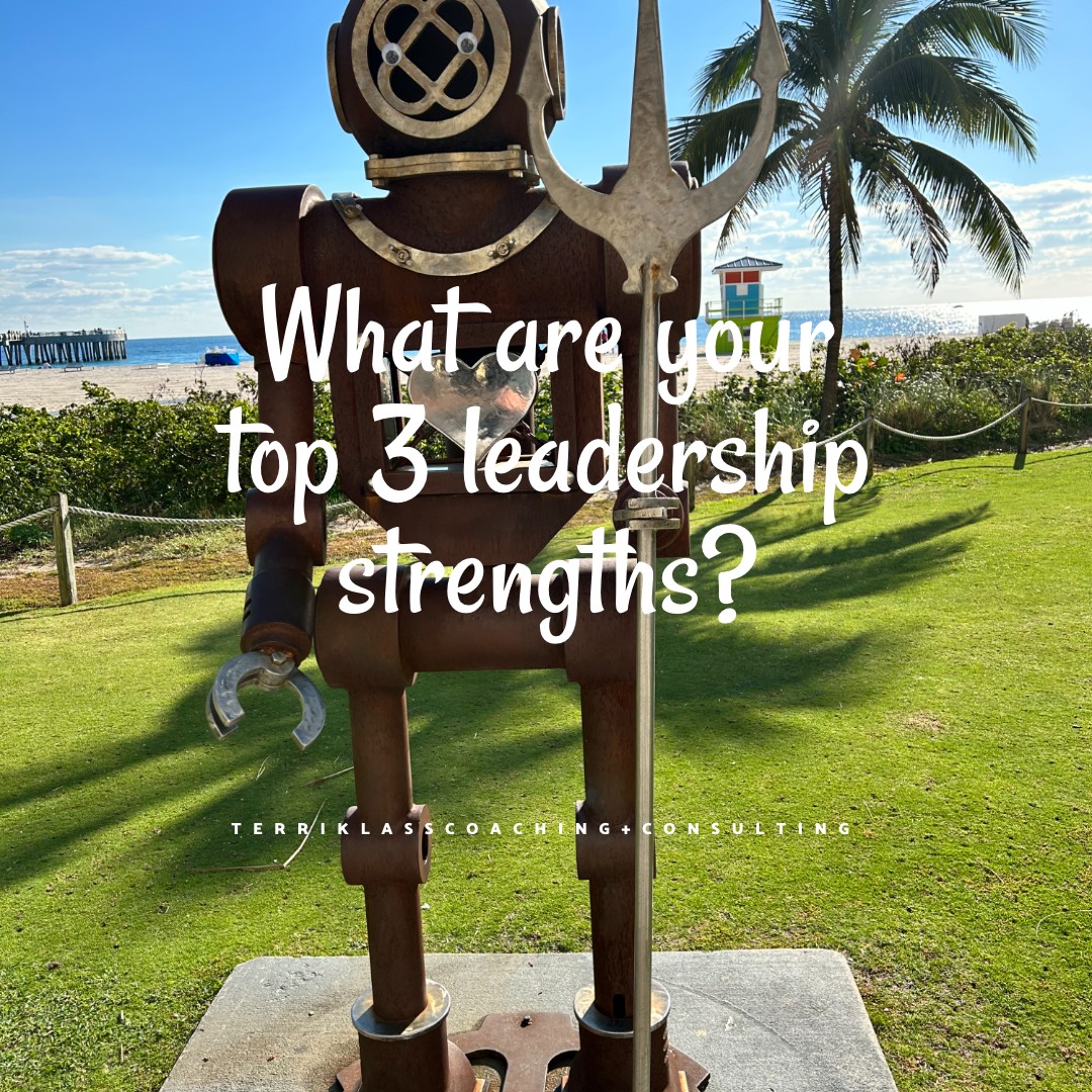 What Are Your Top Three Leadership Strengths? | Terri Klass Consulting